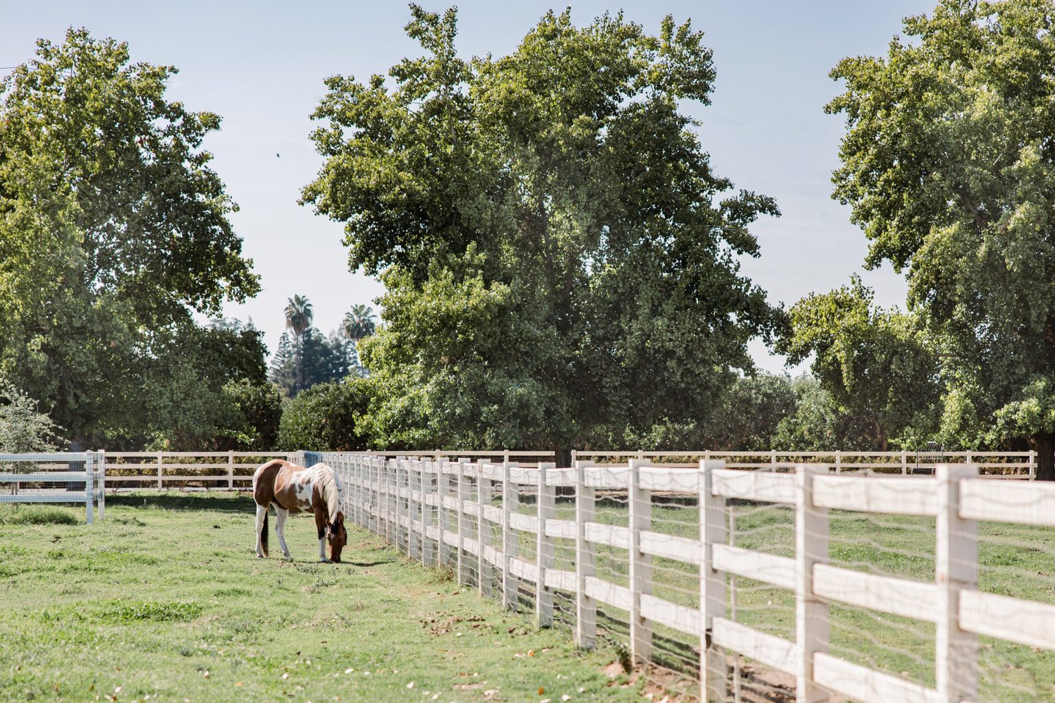 whitney-wild-oak-ranch-exeter-california-michael-samantha